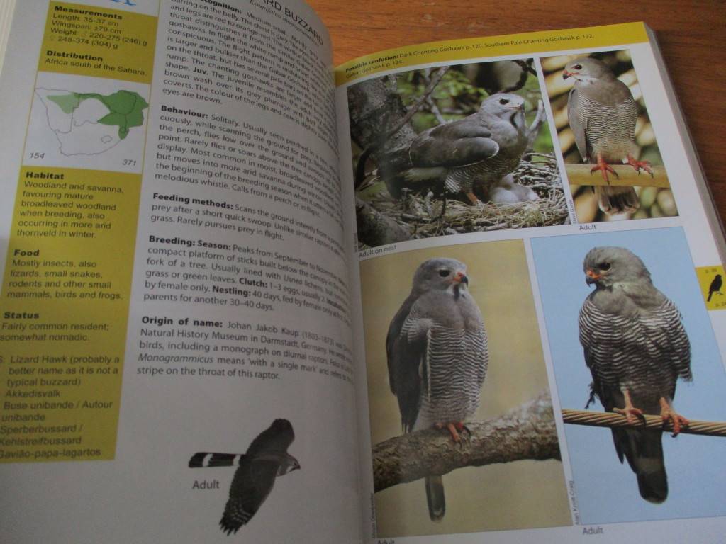 Natural Science - The RAPTOR Guide of Southern Africa Ulrich ...