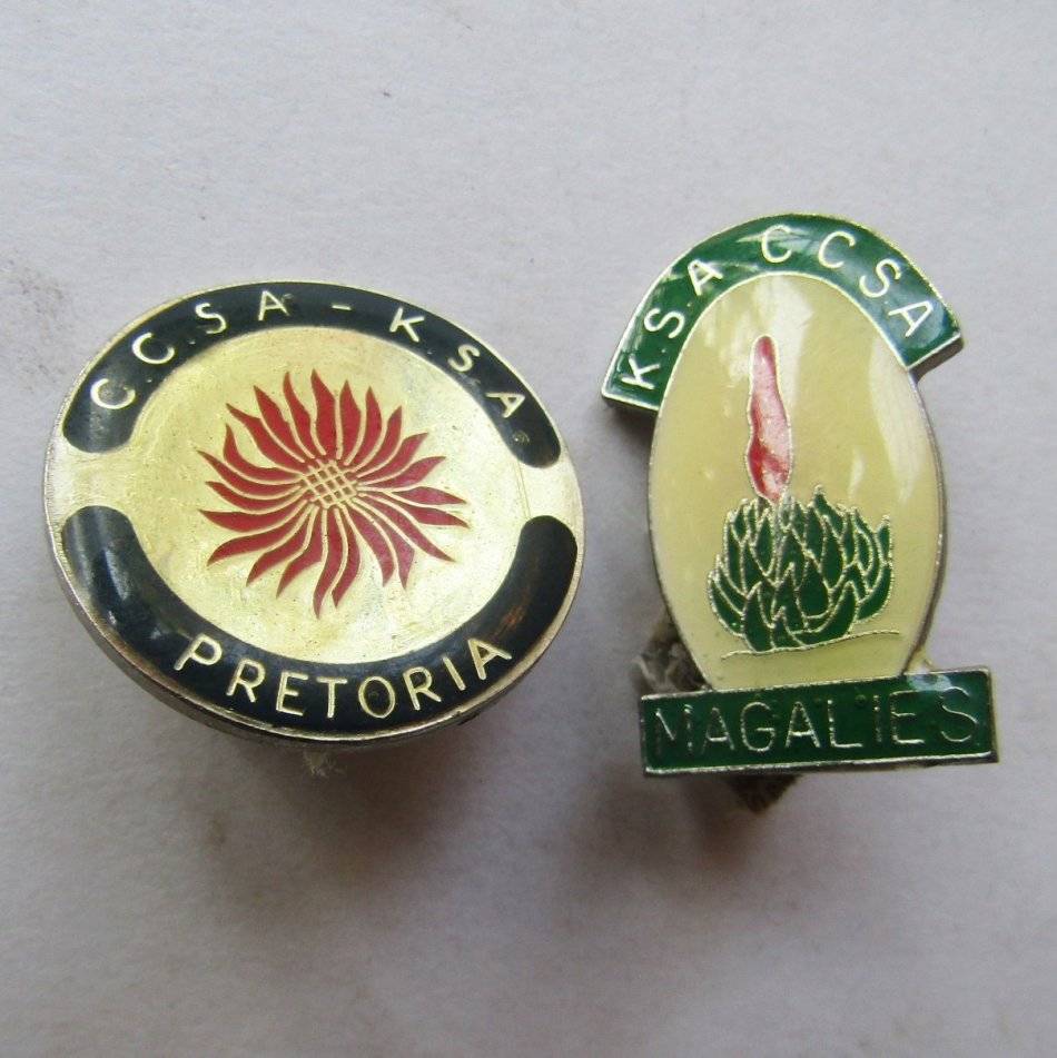 Road - Old Pretoria and Magalies Caravan Club Lapel Pin Badges was ...