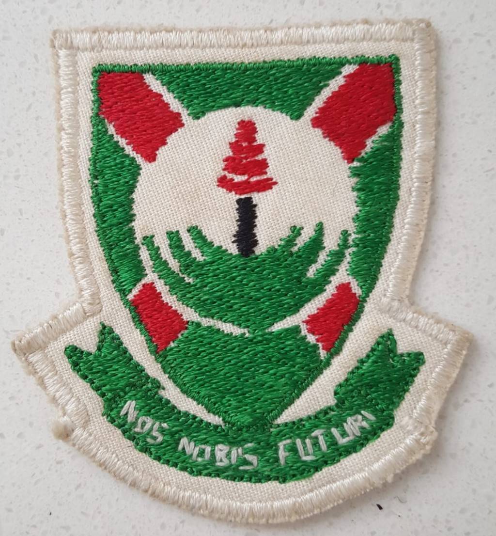 South African Airforce - SAAF 102 Commando Squadron Patch Badge for ...
