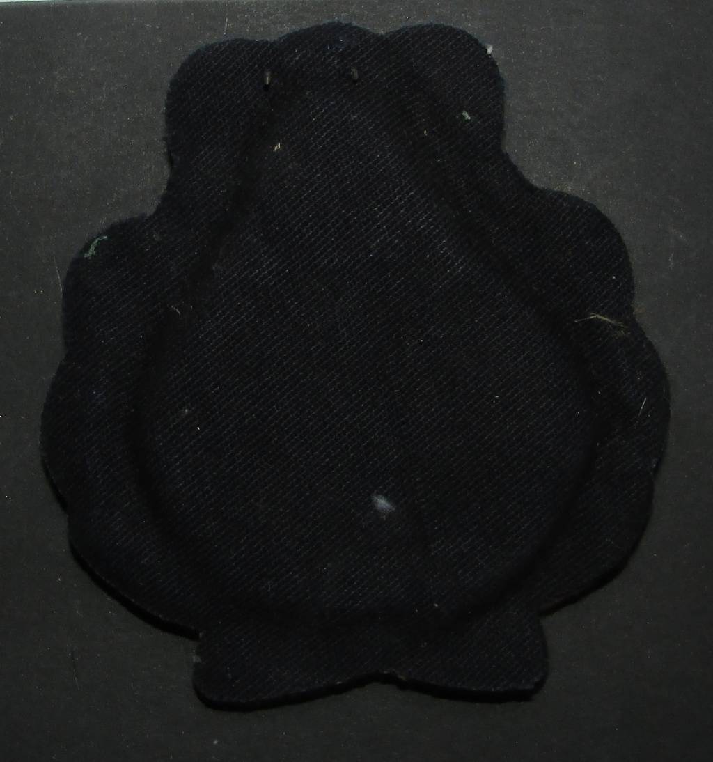 Rail - SAS/SAR Railway Cap Badge for sale in Middelburg (ID:621764805)