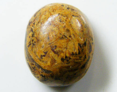 Fossils - SANGE-MARYAM HOLY STONE 8cts (Fossil) was sold for R31.00 on ...