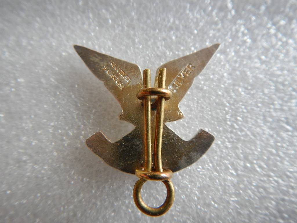 International Badges & Insignia - Rhodesian Selous Scouts Silver ...