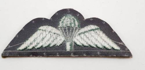 International Badges & Insignia - British Royal Irish Rangers Parachute ...