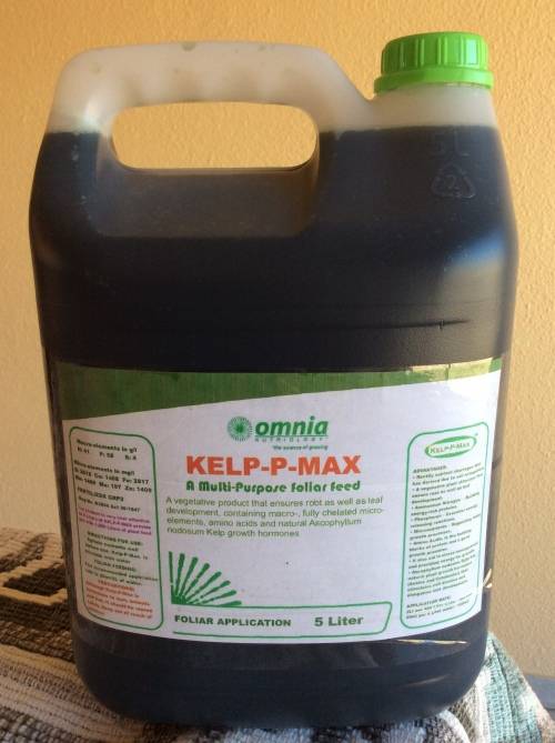 Fertilisers - KELP-P-MAX : 5 Liters of Ascophyllum nodosum Kelp Extract ...