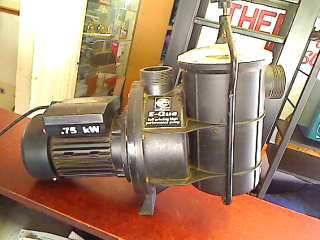 Pumps & Accessories - Earthco E-Que Self Priming .75 kw Pool Pump ...