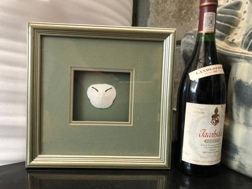 Mixed Media & Collages - WOW !!!! STUNNING FRAMED PANSY SHELL IN A DEEP ...