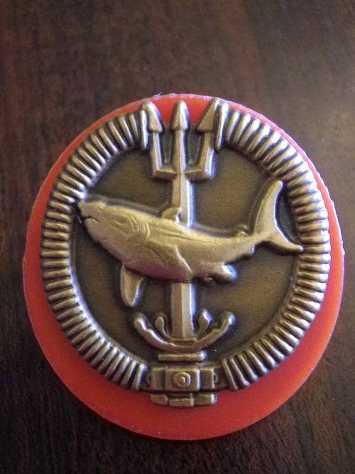 South African Army - SANDF - SPECIAL FORCES ATTACK DIVER QUALIFICATION ...