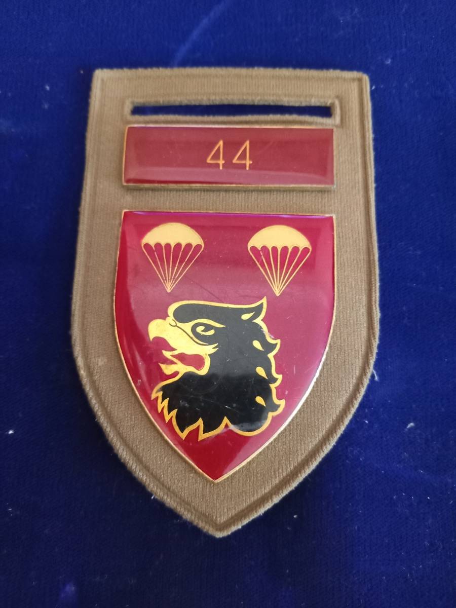 South African Army - SADF 44 Parabats Tupper all pins intact. for sale ...