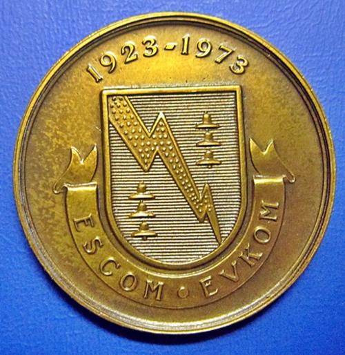 Other Africana - ## 1923-1973 ESCOM/EVKOM 50 Year Medallion - Hendrik ...