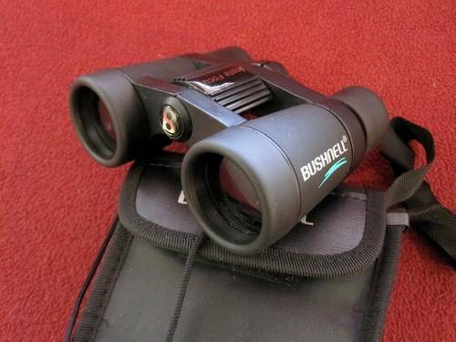 Binoculars & Monoculars - Bushnell Insta Focus 4x30 Powerview Compact ...