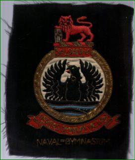 South African Navy - Saldanha Naval Gymnasium badge / SA Navy / SA ...
