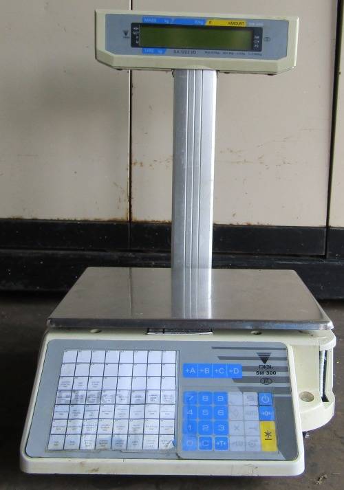 Kitchen Equipment & Supplies - DIGI SM-300 Printing Scale was sold for ...
