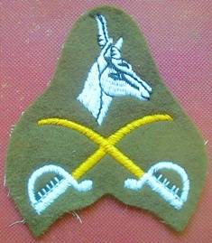South African Army - SA Army PTI Badge was sold for R50.00 on 30 Mar at ...