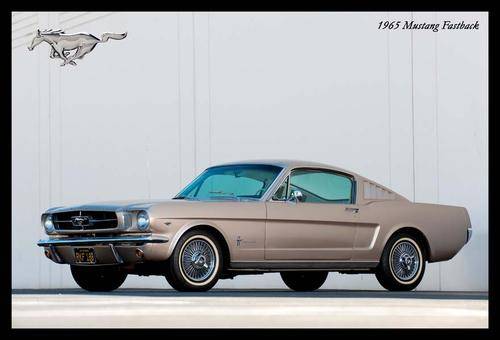 Signage - Mustang Fastback (1965) - Classic Metal Sign for sale in ...