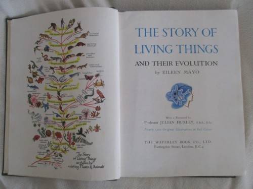 Natural Science - EVOLUTION - THE STORY OF LIVING THINGS AND THEIR ...