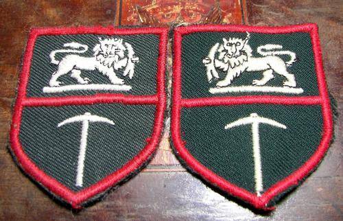 International Badges & Insignia - RHODESIA~RHODESIAN ARMY~PAIR OF ARM ...
