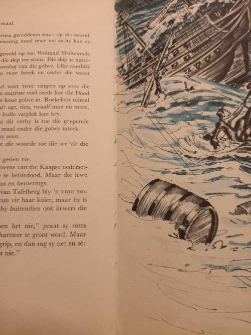 Children's Books - Wolraad Woltemade en ander Afrikaanse Heldeverhale ...