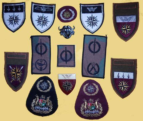 South African Army - Mixed Batch of South African Special Forces Badges ...