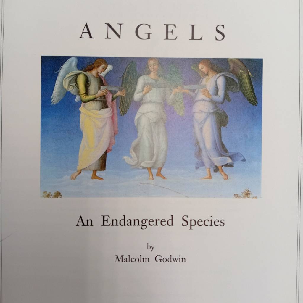 Art & Photography - Angels - An Endangered species by Malcolm Godwin ...