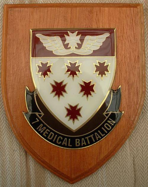 Other Badges & Insignia - SOUTH AFRICAN SPECIAL FORCES 7 MEDICAL BATT ...