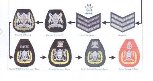 Other Badges & Insignia - Sergeant Major of the Botswana Defence Force ...
