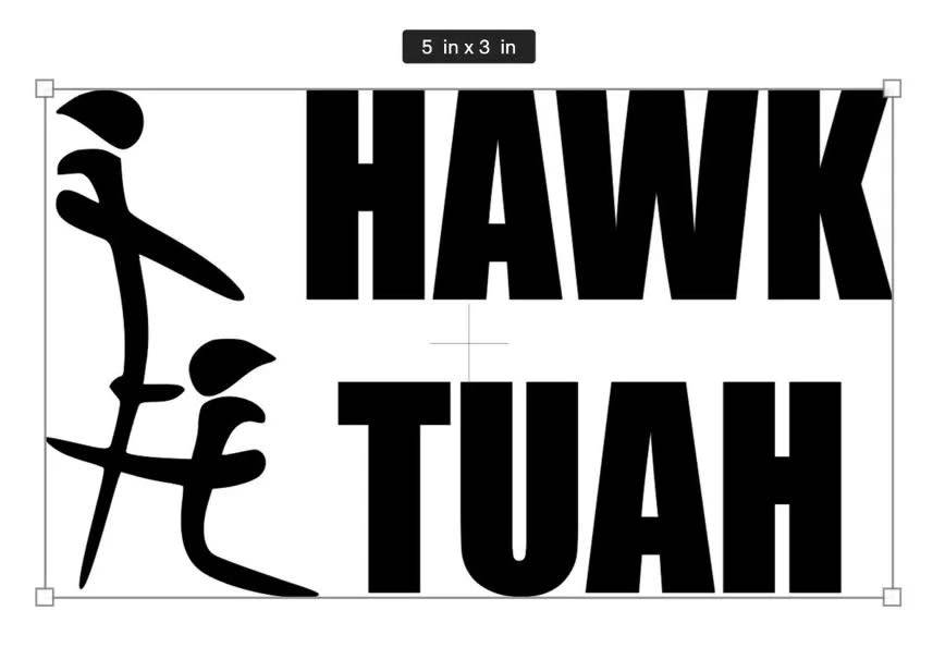 Decals - Hawk Tuah STICKERS R50 EACH for sale in Marble Ray (ID:620224027)