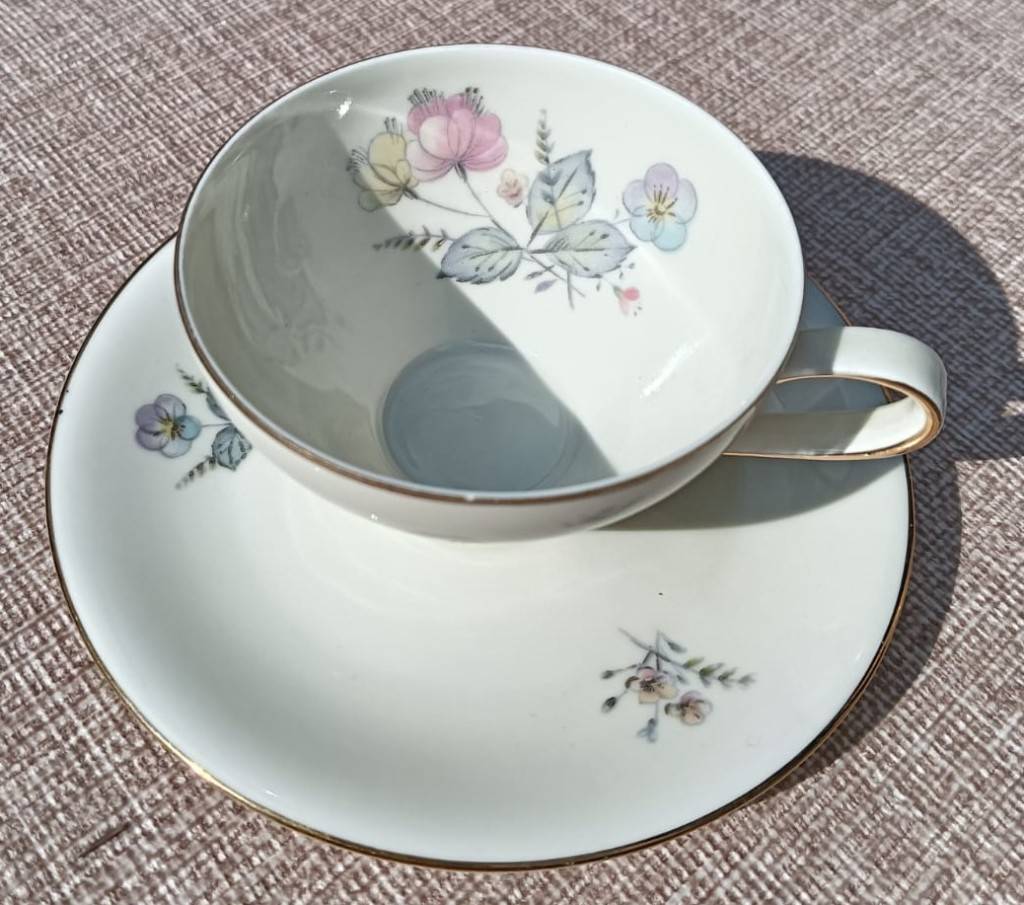 German Porcelain - ALKA KUNST BAVARIA GERMANY 1950S 9 PIECE DEMITASSE ...