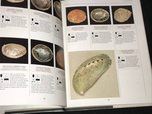Natural Science - THE ILLUSTRATED ENCYCLOPEDIA OF SHELLS BY KENNETH R ...