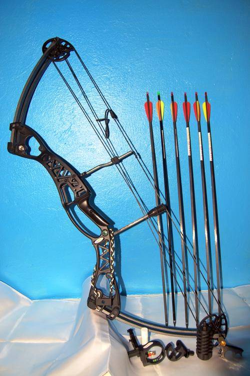 Bows - STEALTH HUNTER M106 Black Compound Bow was sold for R5,500.00 on ...