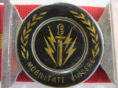 Belts & Buckles - SADF 61 Mech Battalion group stable belt with army ...