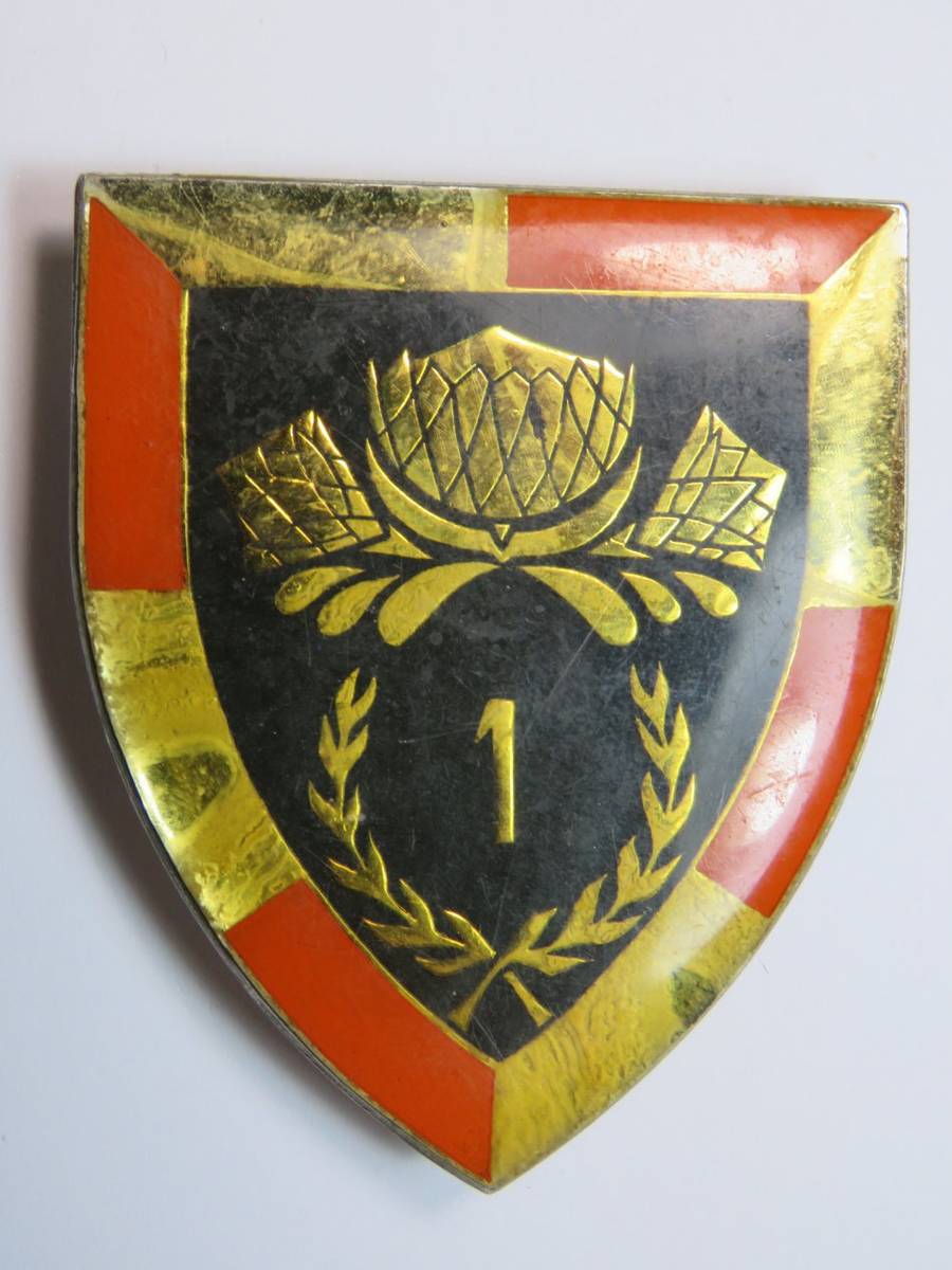 Other Badges & Insignia - SADF 1 Special service battalion (1 SSB ...