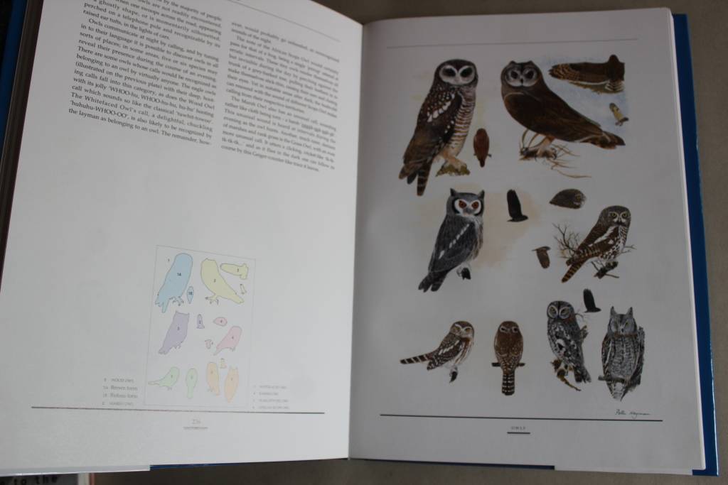 Africana - Birds of Southern Africa, The Sasol Plates Collection for ...