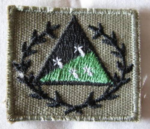 South African Army - SA RECCE/SPECIAL FORCES BADGE was sold for R251.00 ...