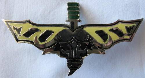 South African Army - 32 BATTALION RECCE WING - METAL - 2 PINS ...
