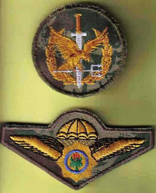 South African Police Services - SAPS, Special Task Force - Parachute ...