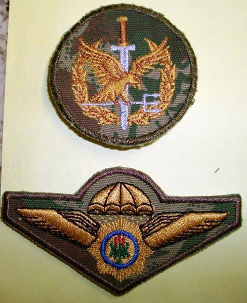 South African Police Services - SAPS, Special Task Force - Parachute ...
