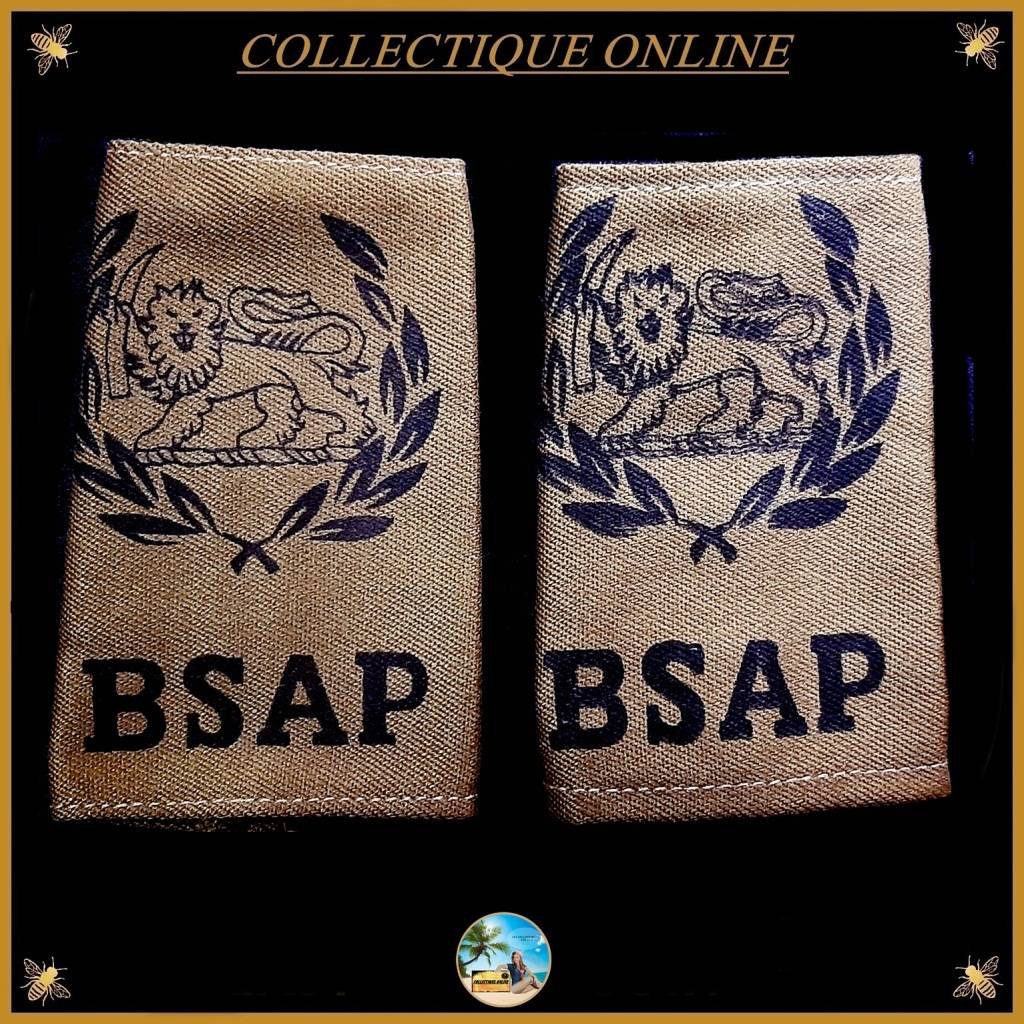 International Badges & Insignia - RHODESIA : BSAP LEFT AND RIGHT ...