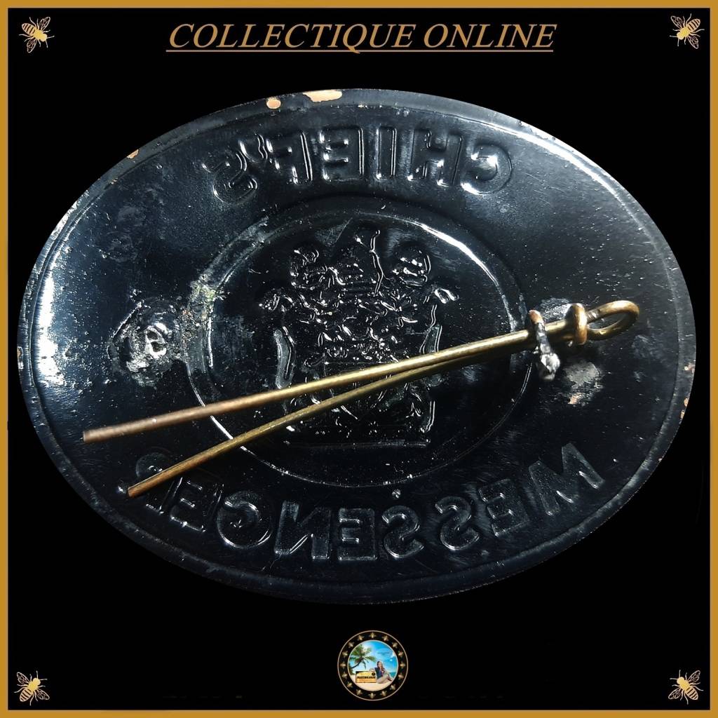 International Badges & Insignia - RHODESIA : Internal Affairs Chiefs ...