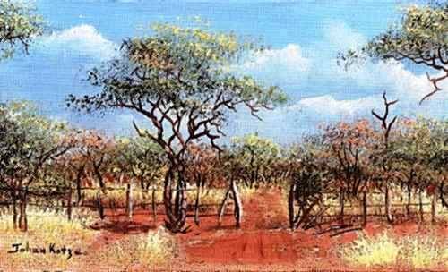 Oils - ORIGINAL OIL PAINTING. Bushveld Scene by S A Artist Johan Kotze ...