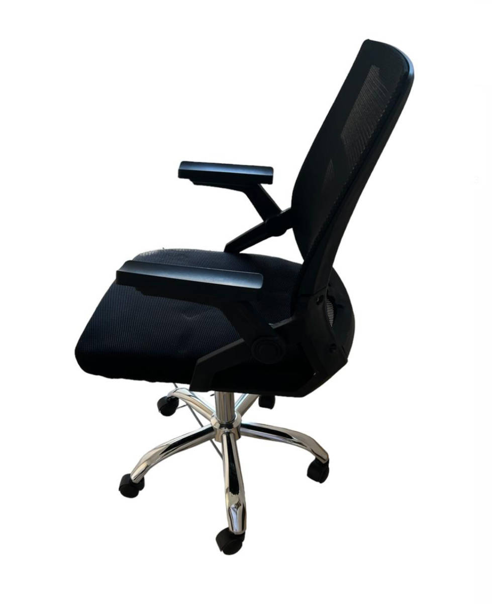 Desk Chairs - Typist Everyday Ergonomic Back Chair with Stainless Steel ...
