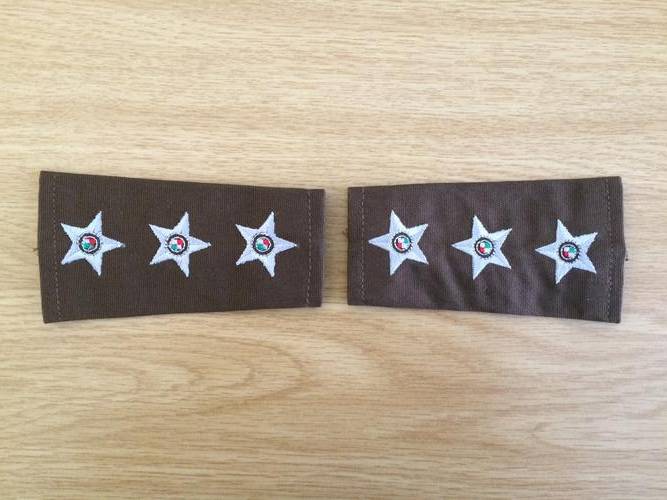 South African Army - SANDF Embroidered Captain Rank Insignia Pair was ...