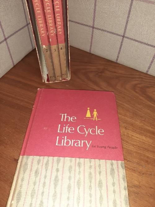 Other Non-Fiction - The Life Cycle Library for Young People - Complete ...