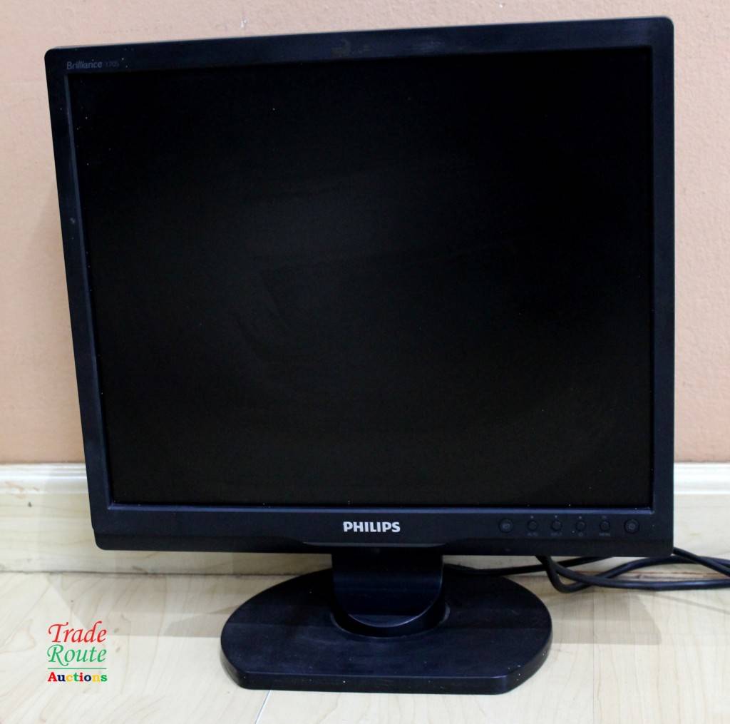 Monitors - Philips 17-inch 170S 1280x1024 LCD Monitor Black Brilliance ...
