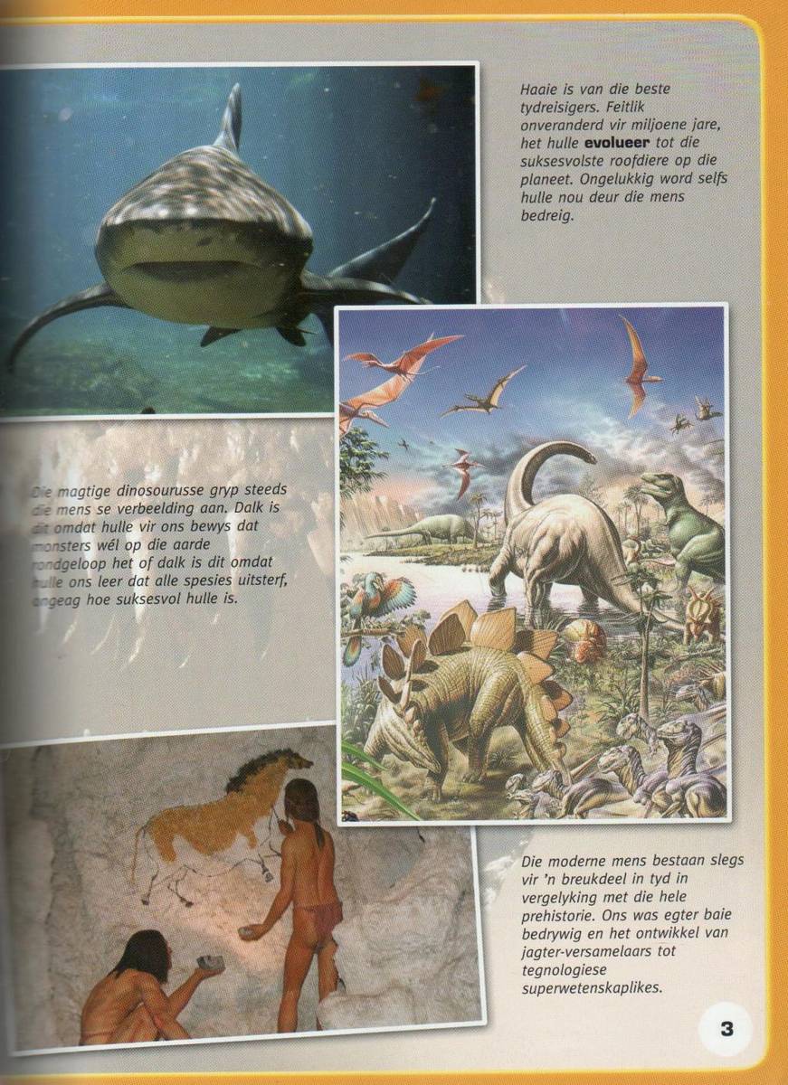 Afrikaans Non-Fiction - PREHISTORIESE LEWE, VRAE EN ANTWOORDE ...