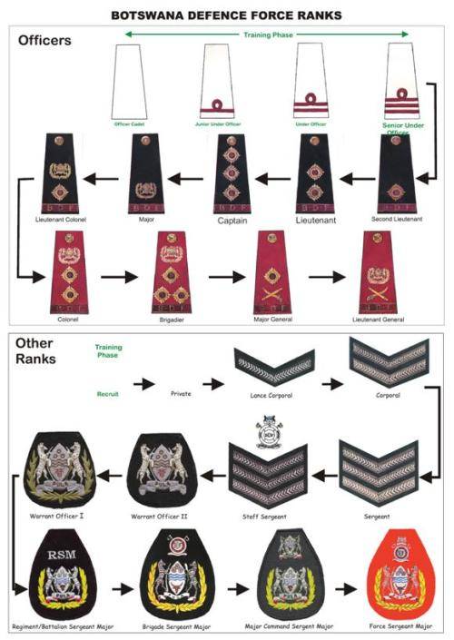 Other Badges & Insignia - Botswana BDF senor WO (Force WO) rank badge ...