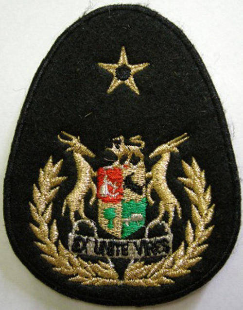 South African Army - SANDF Level 4 Warrant Officer Rank Badge ...