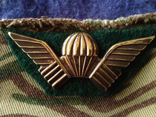 International Badges & Insignia - Selous Scout para wings original was ...
