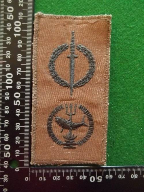 South African Army - SADF ... RECCE OPERATOR / ATTACK DIVER BADGE (COPY ...