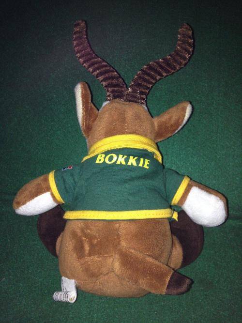 Sporting Memorabilia - Bokkie +-25cm - Plush Springbok - Official ...