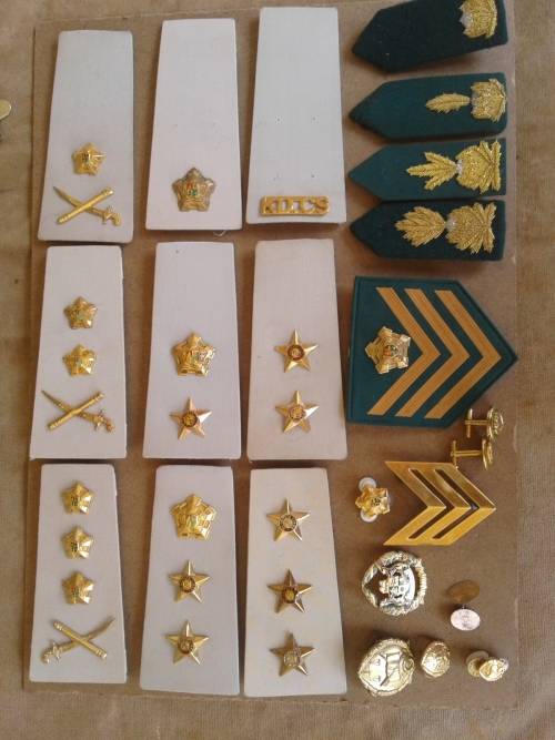 Other Badges & Insignia - SA Prison and Correctional services Badges ...